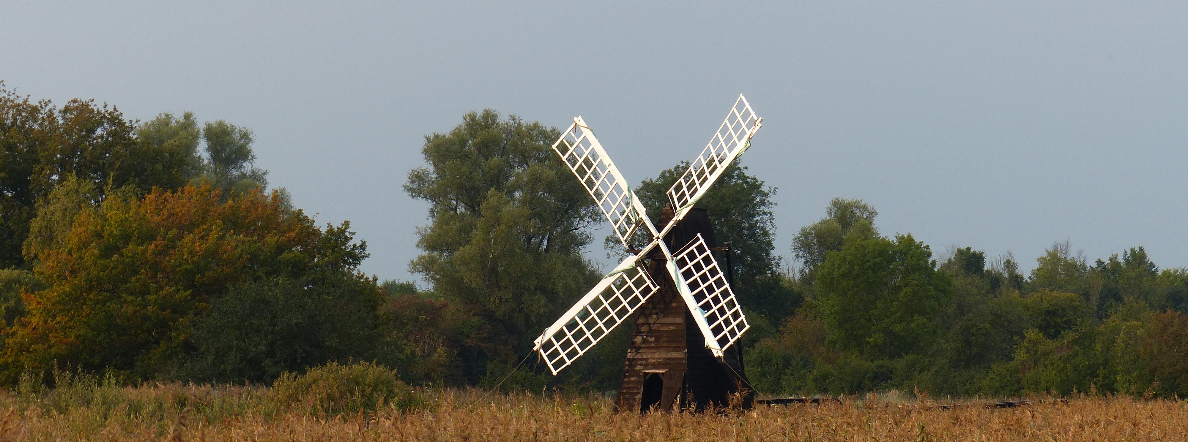 Fenland Study - MRC Epidemiology Unit